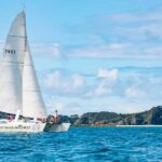 From Paihia: Island-Hopper Sailing Cruise with Picnic Lunch - What Sets This Tour Apart?
