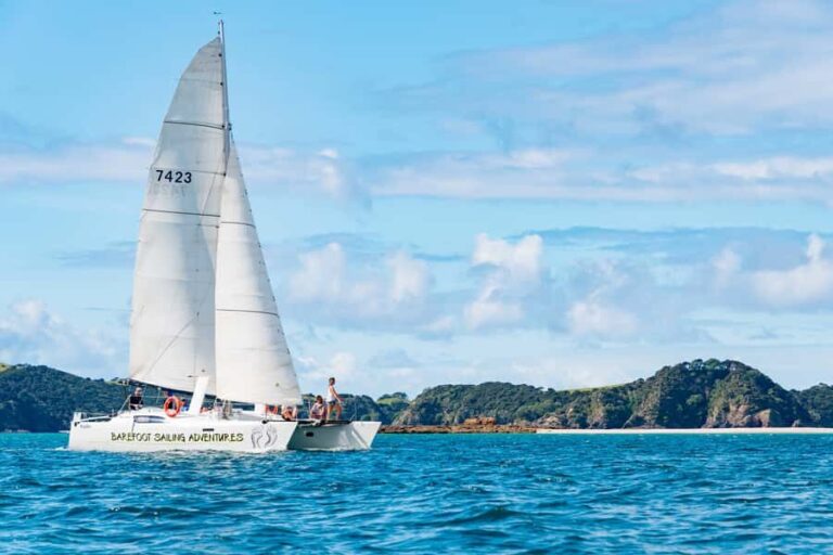 From Paihia: Island-Hopper Sailing Cruise with Picnic Lunch - What Sets This Tour Apart?