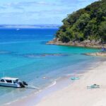 From Paihia: Scenic Cruise with Roberton Island Stopover - Discovering the Bay of Islands from the Water