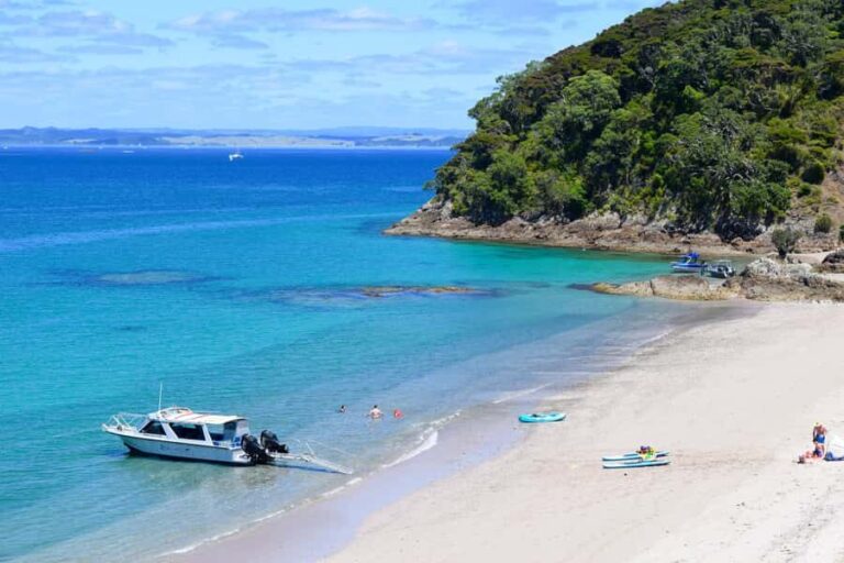 From Paihia: Scenic Cruise with Roberton Island Stopover - Discovering the Bay of Islands from the Water