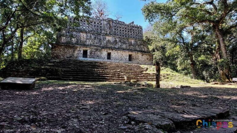 From Palenque: Yaxchilán and Bonampak Tour - What You Can Expect on the Ground