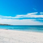 From Penneshaw: Kangaroo Island Shore Excursion Tasting Tour - Authentic Experiences Backed by Real Feedback