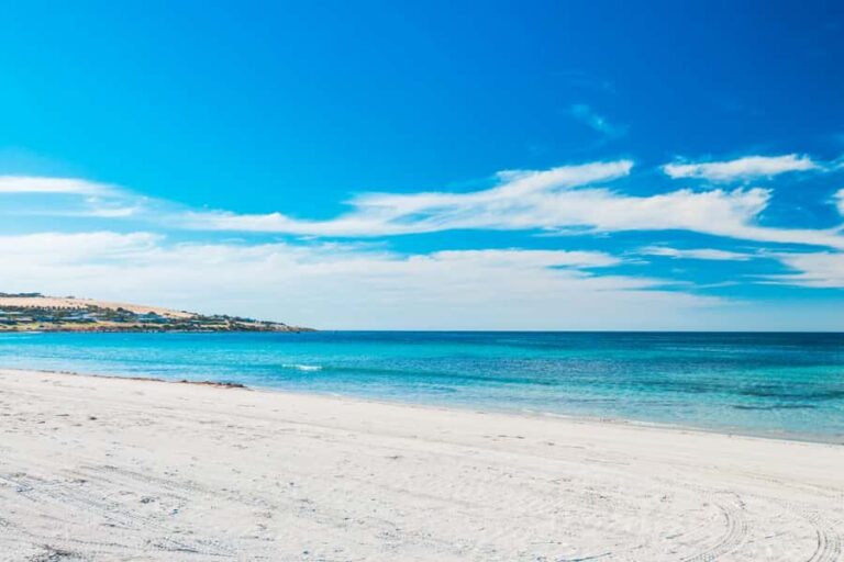 From Penneshaw: Kangaroo Island Shore Excursion Tasting Tour - Authentic Experiences Backed by Real Feedback