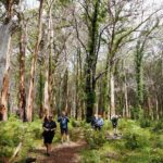 From Perth: Margaret River Region Impression Day Tour - Why You’ll Love the Margaret River Day Trip