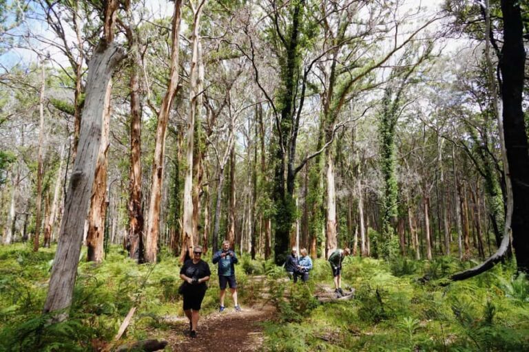 From Perth: Margaret River Region Impression Day Tour - Why You’ll Love the Margaret River Day Trip