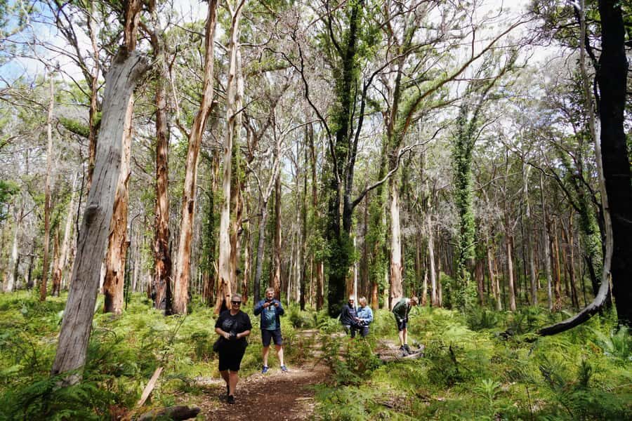 From Perth: Margaret River Region Impression Day Tour - Why You’ll Love the Margaret River Day Trip