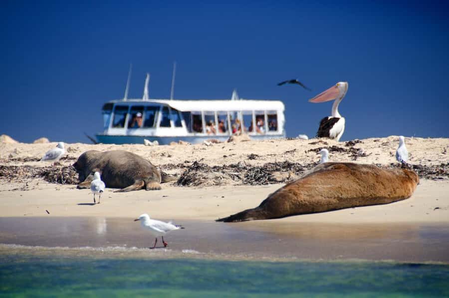 From Perth: Margaret River Wine Tour & Wildlife Cruise - Practical Details & Tips for Travelers