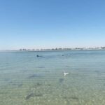 From Perth: Rockingham Seal & Penguin Islands Sea Kayak Tour - The Itinerary: What Makes Each Stop Special