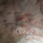 From Perth: Wave Rock and York Cultural Tour with a Guide - The Experience of the Guides and Tour Quality