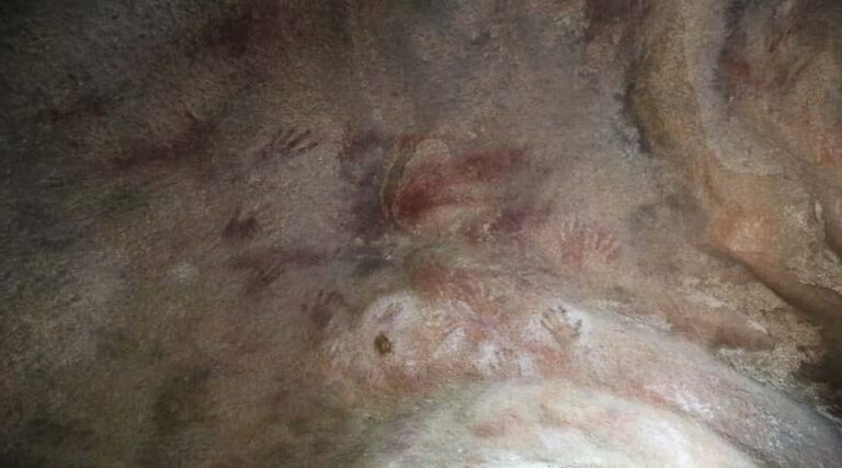 From Perth: Wave Rock and York Cultural Tour with a Guide - The Experience of the Guides and Tour Quality