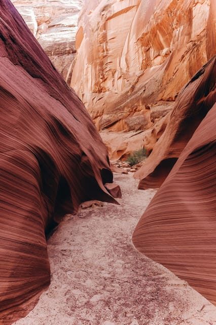 From Phoenix: Antelope Canyon and Horseshoe Bend Day Tour - Transportation and Group Size