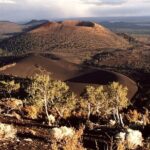 From Phoenix Private Custom Flagstaff Day Tour - Authentic Insights from Reviews