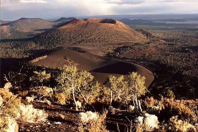 From Phoenix Private Custom Flagstaff Day Tour - Authentic Insights from Reviews