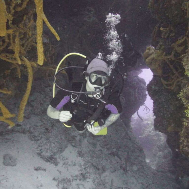 From Playa del Carmen: Cozumel Diving Adventure - The Itinerary: What to Expect