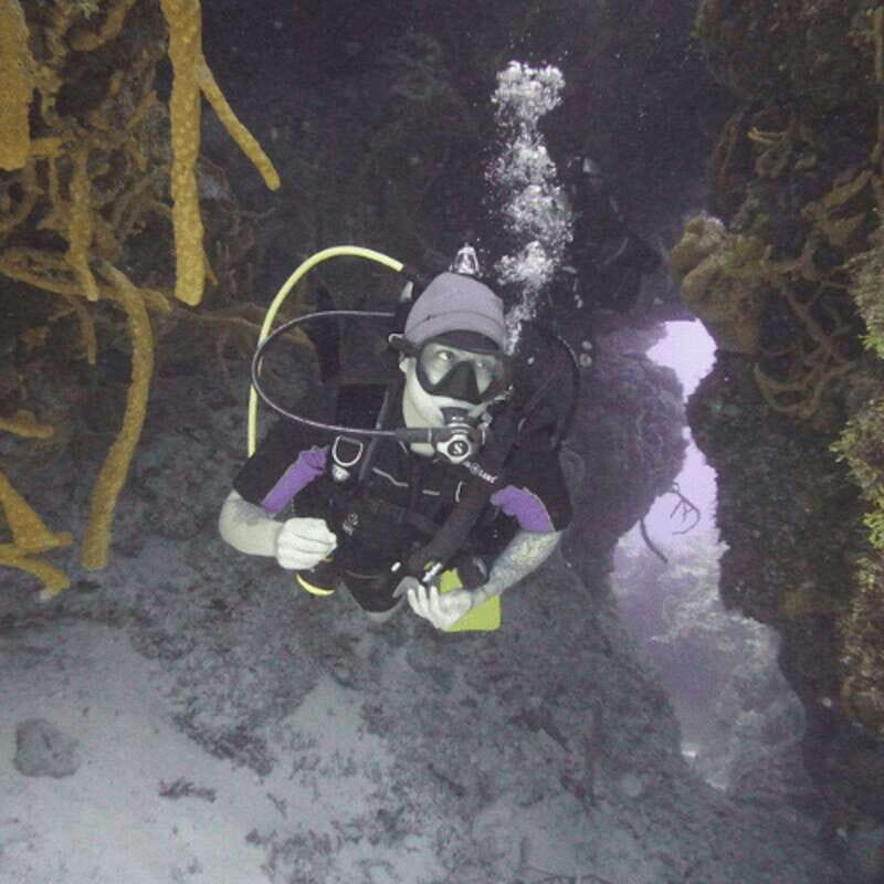 From Playa del Carmen: Cozumel Diving Adventure - The Itinerary: What to Expect