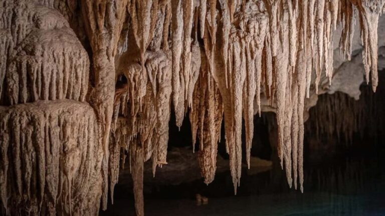 From Playa del Carmen or Tulum: Rio Sagrado Experience - Who Should Consider This Tour?