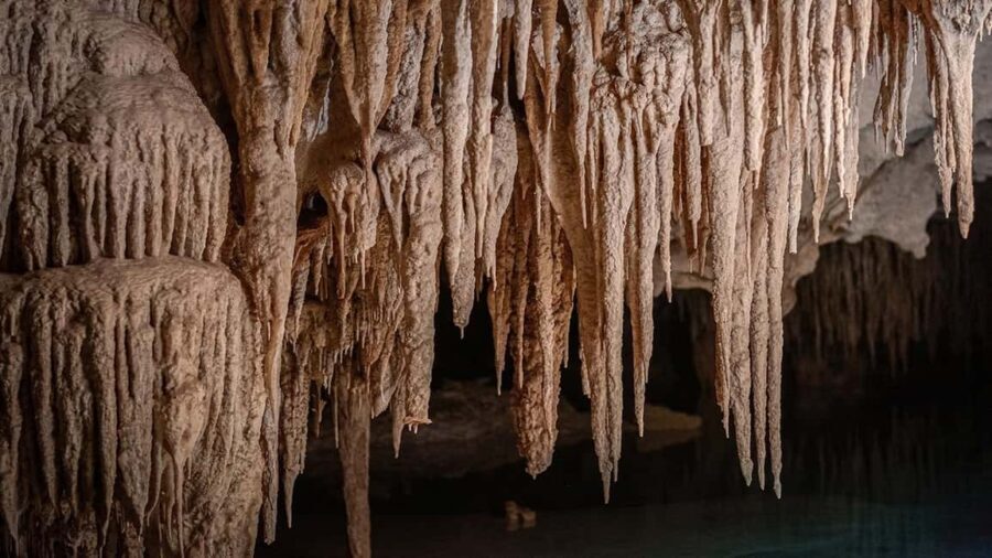 From Playa del Carmen or Tulum: Rio Sagrado Experience - Who Should Consider This Tour?