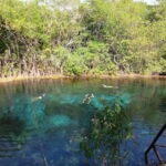 From Playa del Carmen: Tulum Coba and Cenote - Detailed Breakdown of the Tour Experience