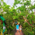 From Playa del Carmen: Xcaret Plus Park, the complete experience - Food and Refreshments