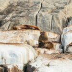 From Port Arthur: Tasman Island Wilderness Cruise - The Itinerary: What You Can Expect