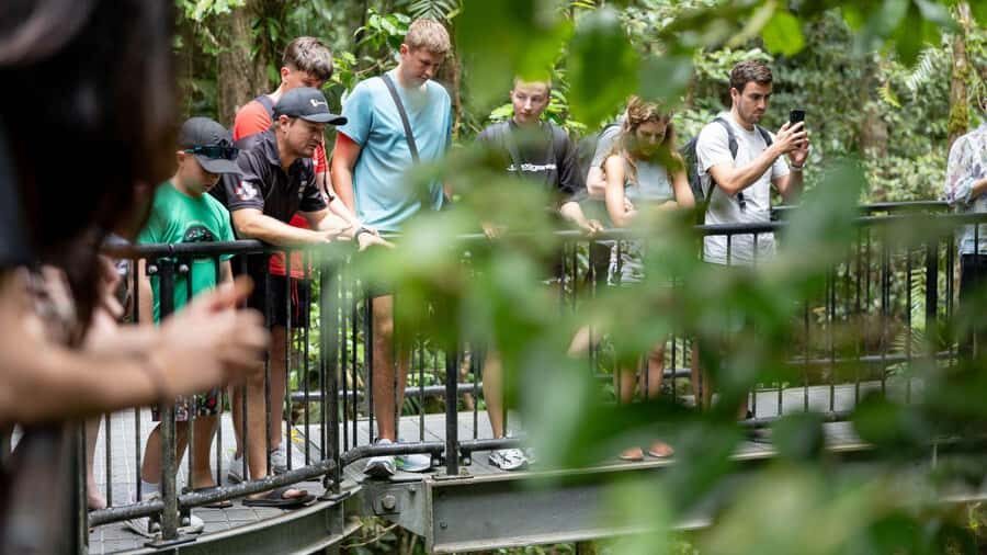 From Port Douglas: Daintree Rainforest & Mossman Gorge Tour - What the Reviews Reveal