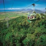 From Port Douglas: Hartley's Crocodile Park, Skyrail & Train - Final Thoughts: Is This Tour for You?