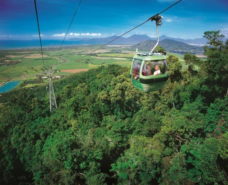 From Port Douglas: Hartley's Crocodile Park, Skyrail & Train - Final Thoughts: Is This Tour for You?