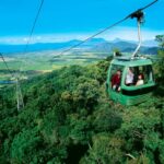 From Port Douglas: Kuranda via Scenic Rail or Skyrail Option - Why This Tour Offers Great Value