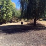 From Portland: Willamette Valley Wine & Whisky - What Reviewers Say