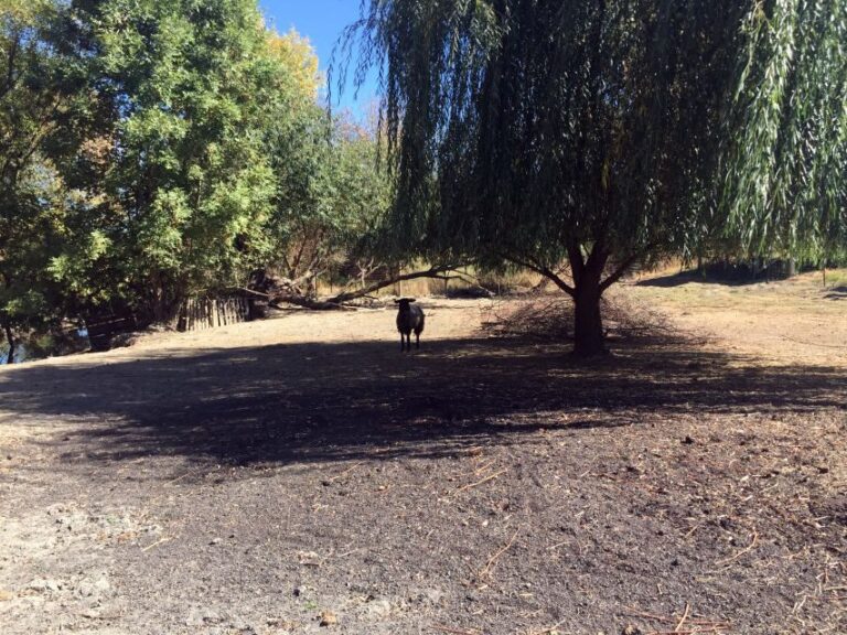 From Portland: Willamette Valley Wine & Whisky - What Reviewers Say