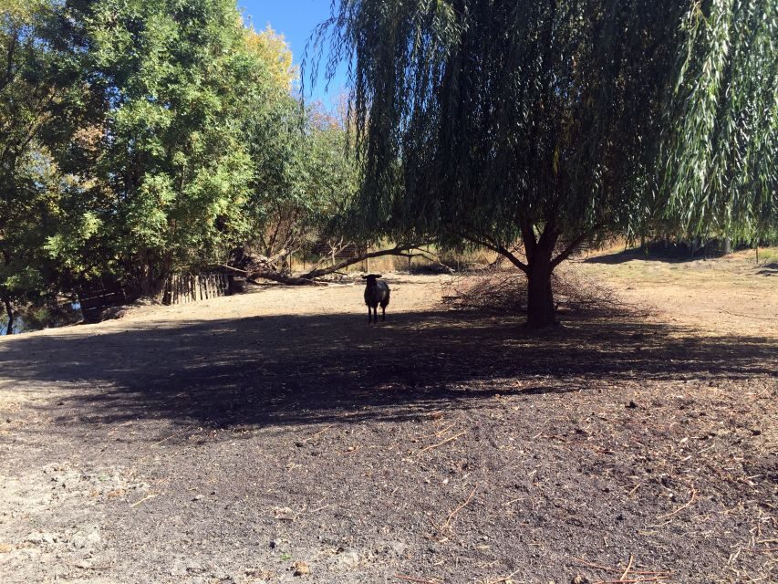 From Portland: Willamette Valley Wine & Whisky - What Reviewers Say