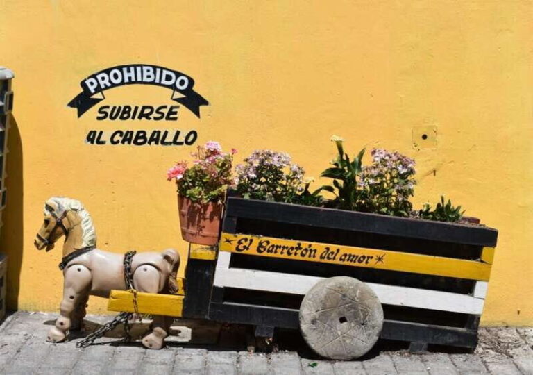 From Puebla: Atlixco & Atlimeyaya Private Tour all included - The Tasting Experience: Sweet Flavors of Puebla