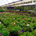 From Puebla: Cholula and Atlixco Private Tour all included - Who Will Love This Tour