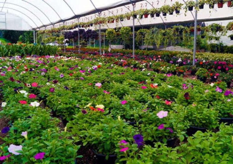 From Puebla: Cholula and Atlixco Private Tour all included - Who Will Love This Tour