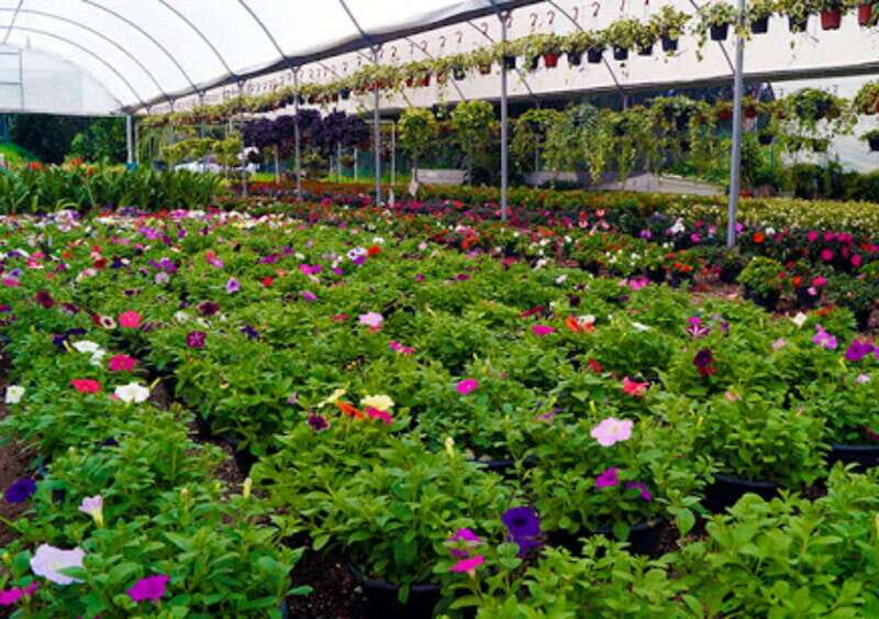 From Puebla: Cholula and Atlixco Private Tour all included - Who Will Love This Tour