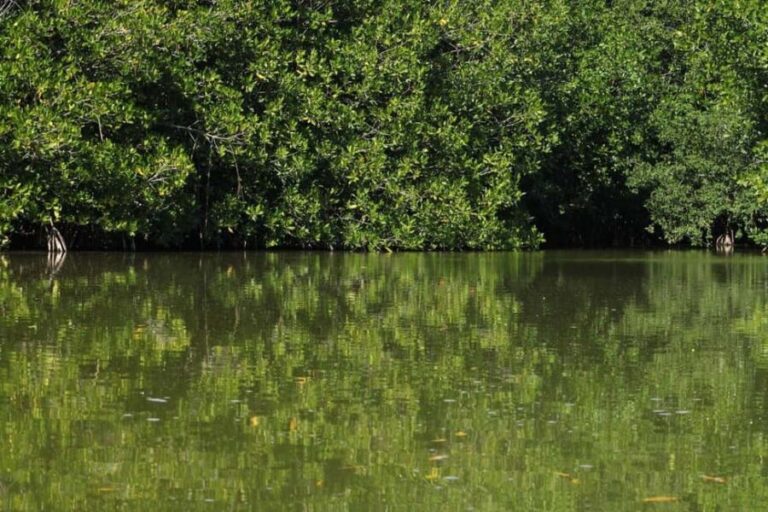 From Puerto Escondido: Day Trip to Chacahua National Park - Who Should Book This Tour?