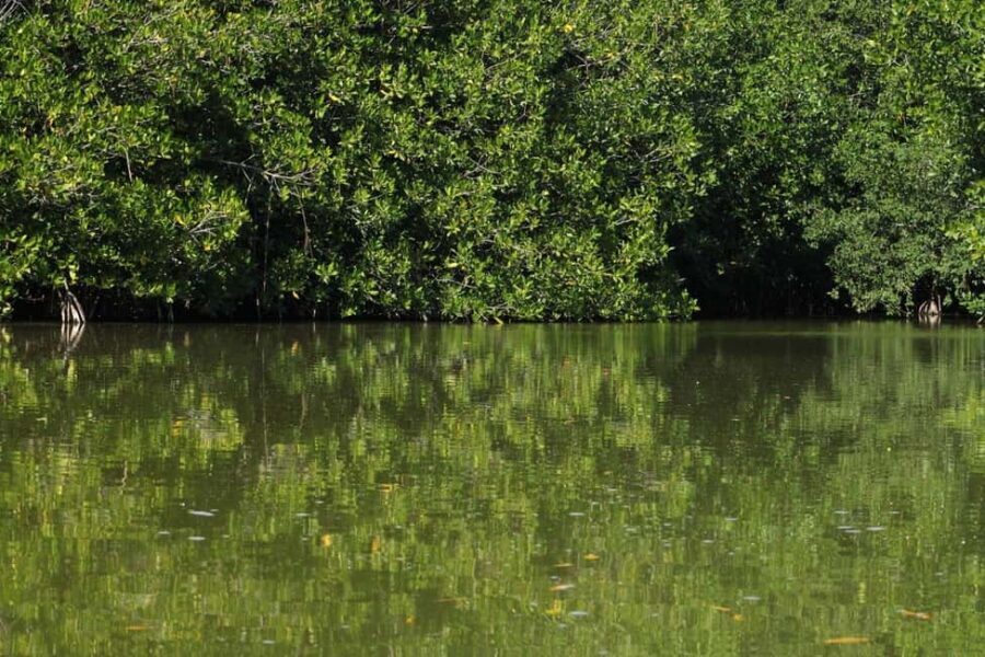 From Puerto Escondido: Day Trip to Chacahua National Park - Who Should Book This Tour?