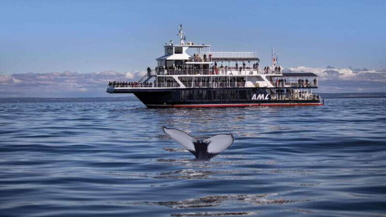 From Quebec City: Whale Watching Excursion Full-Day Trip - The Journey Begins: From Québec City to the Marine Park
