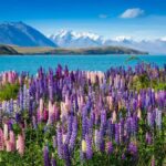 From Queenstown: Half-Day Guided Tour to Mount Cook - The Itinerary in Detail