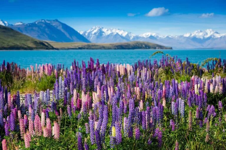 From Queenstown: Half-Day Guided Tour to Mount Cook - The Itinerary in Detail