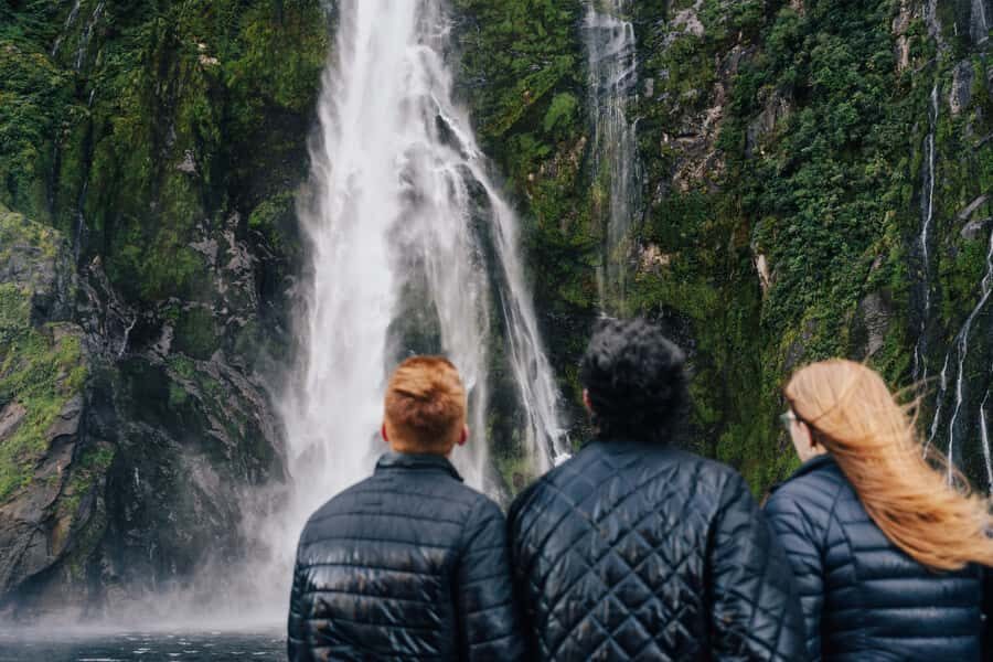 From Queenstown: Milford Sound Cruise and Scenic Drive - The Scenic Drive: What to Expect