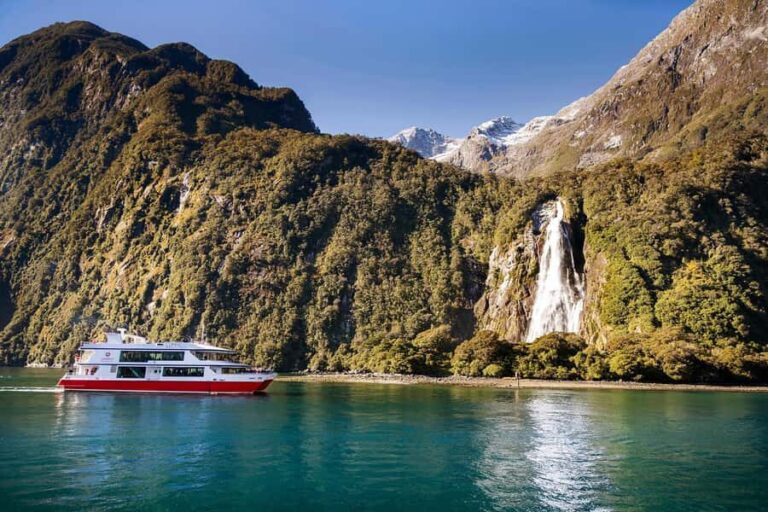 From Queenstown Milford Sound Cruise & Glass-Roof Coach Tour - Final Thoughts: Who Should Take This Tour?