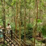 From Rainbow Beach: K'gari Fraser Island Full-Day Coach Tour - Transportation and Group Size
