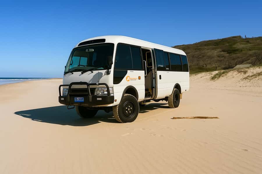 From Rainbow Beach: K'gari (Fraser Island) Full-Day Tour - An In-Depth Look at the Fraser Island Experience