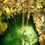 From Riviera Maya: Snorkeling & Private Cenote Half-Day Tour - What to Expect: The Itinerary Breakdown