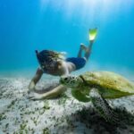 From Rosslyn: Great Keppel Island Adventure Tour with Lunch - Final Thoughts: Is It Worth It?