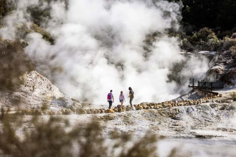 From Rotorua: HELL's GATE Geothermal MUD BATH Half Day Tour - The Experience in Detail