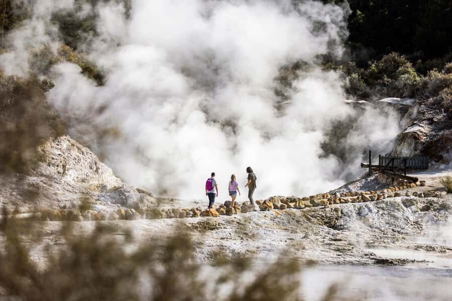 From Rotorua: HELL's GATE Geothermal MUD BATH Half Day Tour - The Experience in Detail