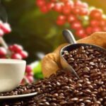 From San Cristóbal: Walking City tour - Exploring San Cristóbal’s Historic Heart