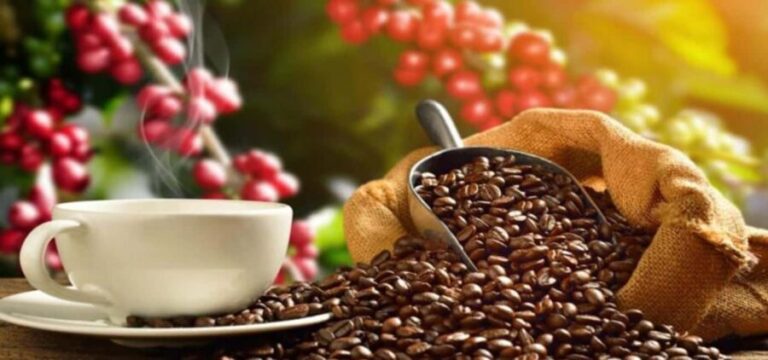 From San Cristóbal: Walking City tour - Exploring San Cristóbal’s Historic Heart